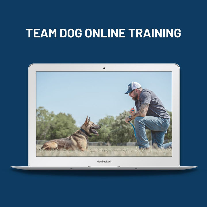 Team Dog Brand – Mike Ritland Shop