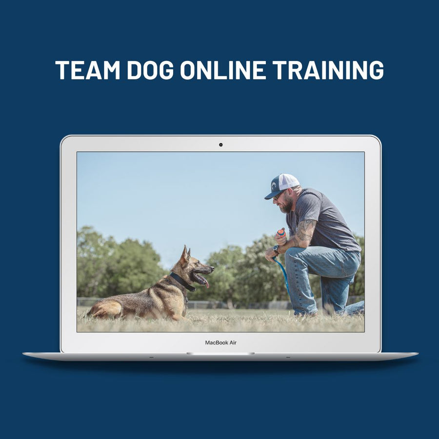 Team Dog Brand – Mike Ritland Shop